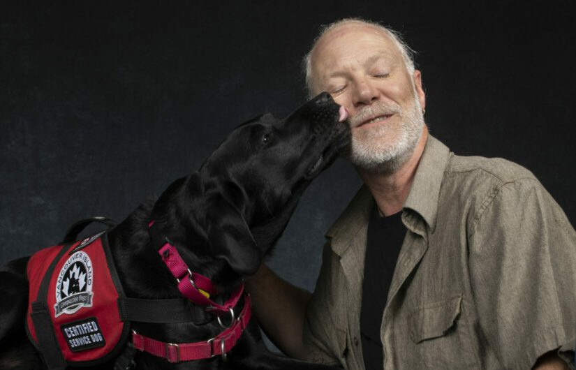 Remembrance Day: Honouring Service - BC SPCA