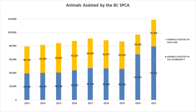 Programs & Services - BC SPCA