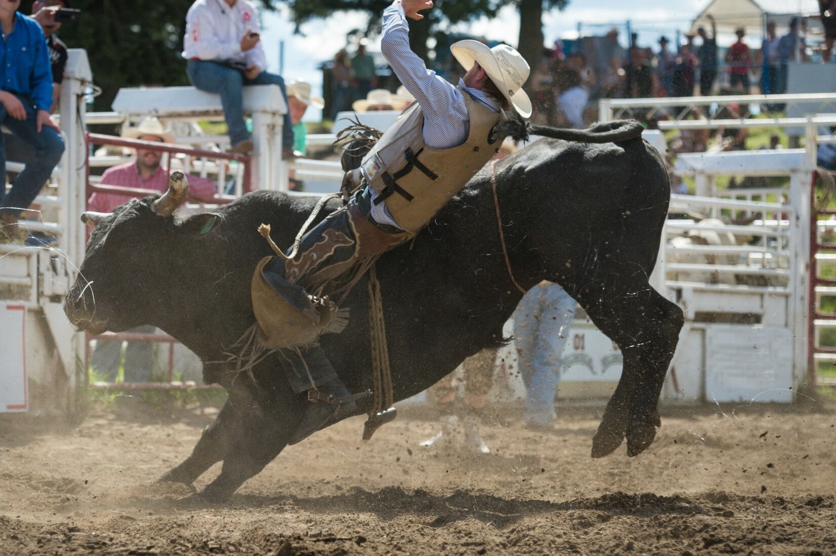 Speak out to prevent animal suffering at new rodeo proposed for Lower ...