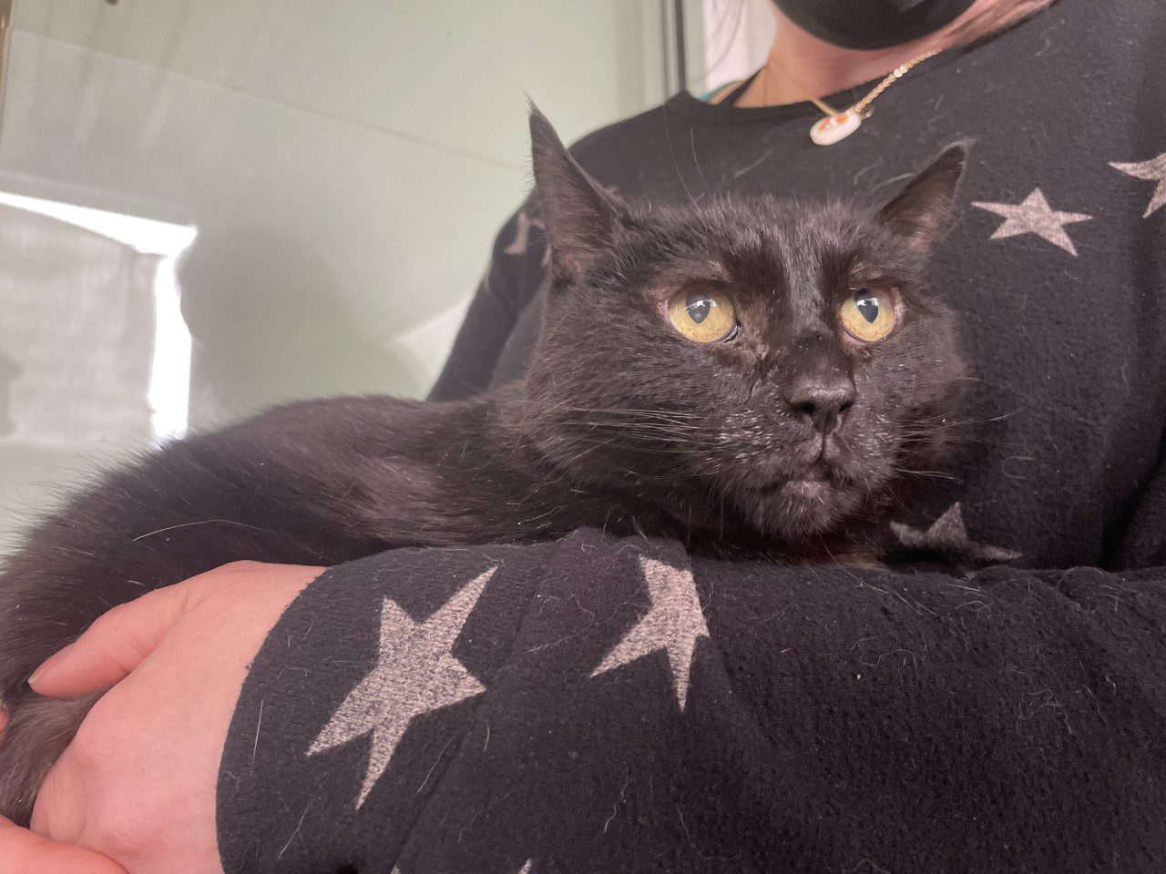 Longing for Love: Is one of these long-stay animals your perfect match?