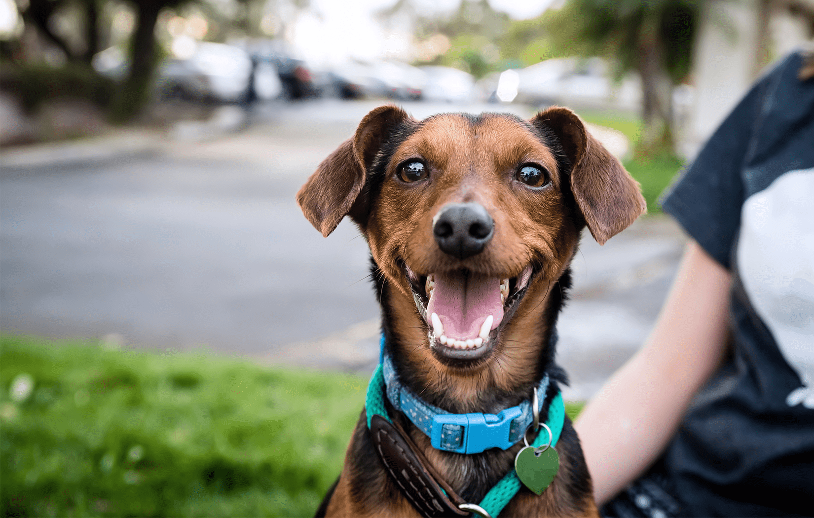 Humane Education Presentations: Lower Mainland - BC SPCA