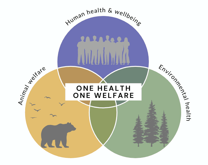 Use a One Health / One Welfare lens to evaluate policy decisions - BC SPCA