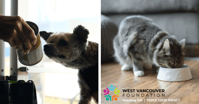 Donations for the BC SPCA’s pet food bank program down across the province