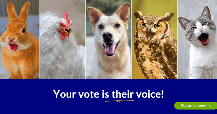 BC SPCA platform and party commitments - BC SPCA