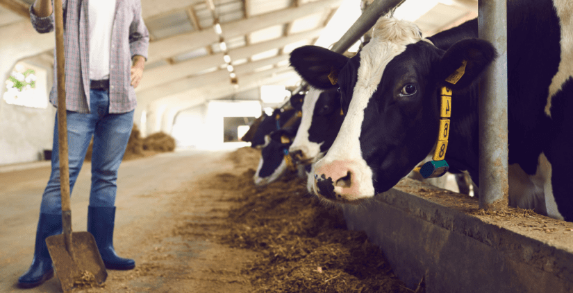 Proactively protect farmed animals - BC SPCA