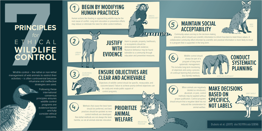 Wildlife management - BC SPCA