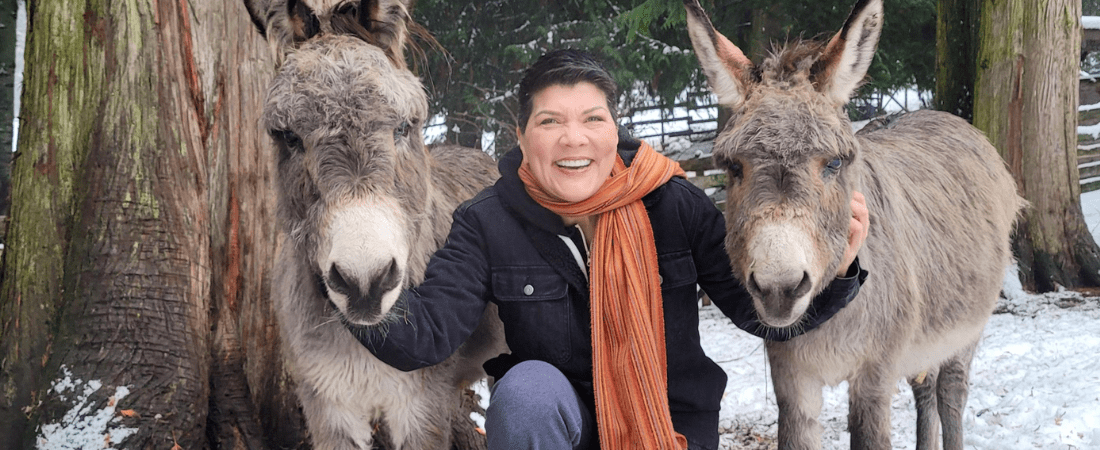 BC SPCA community-based service provision now in place for Nelson and ...