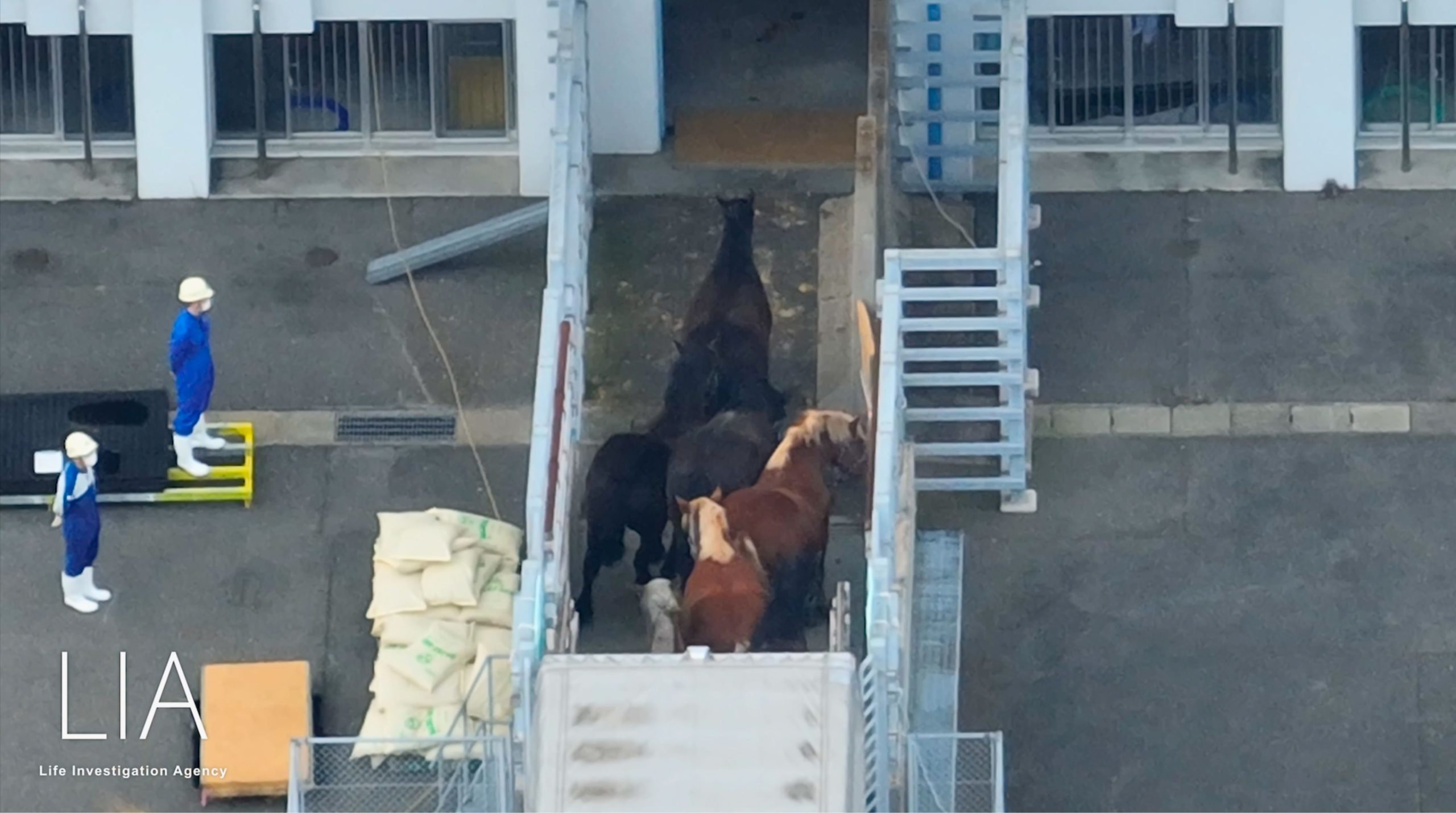 BC SPCA warns of possible impacts of Parliamentary prorogation on ...