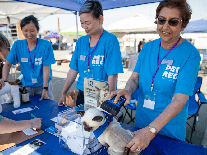 National Volunteer Week 2025: Meet the BC SPCA Volunteers Making Waves! - BC SPCA