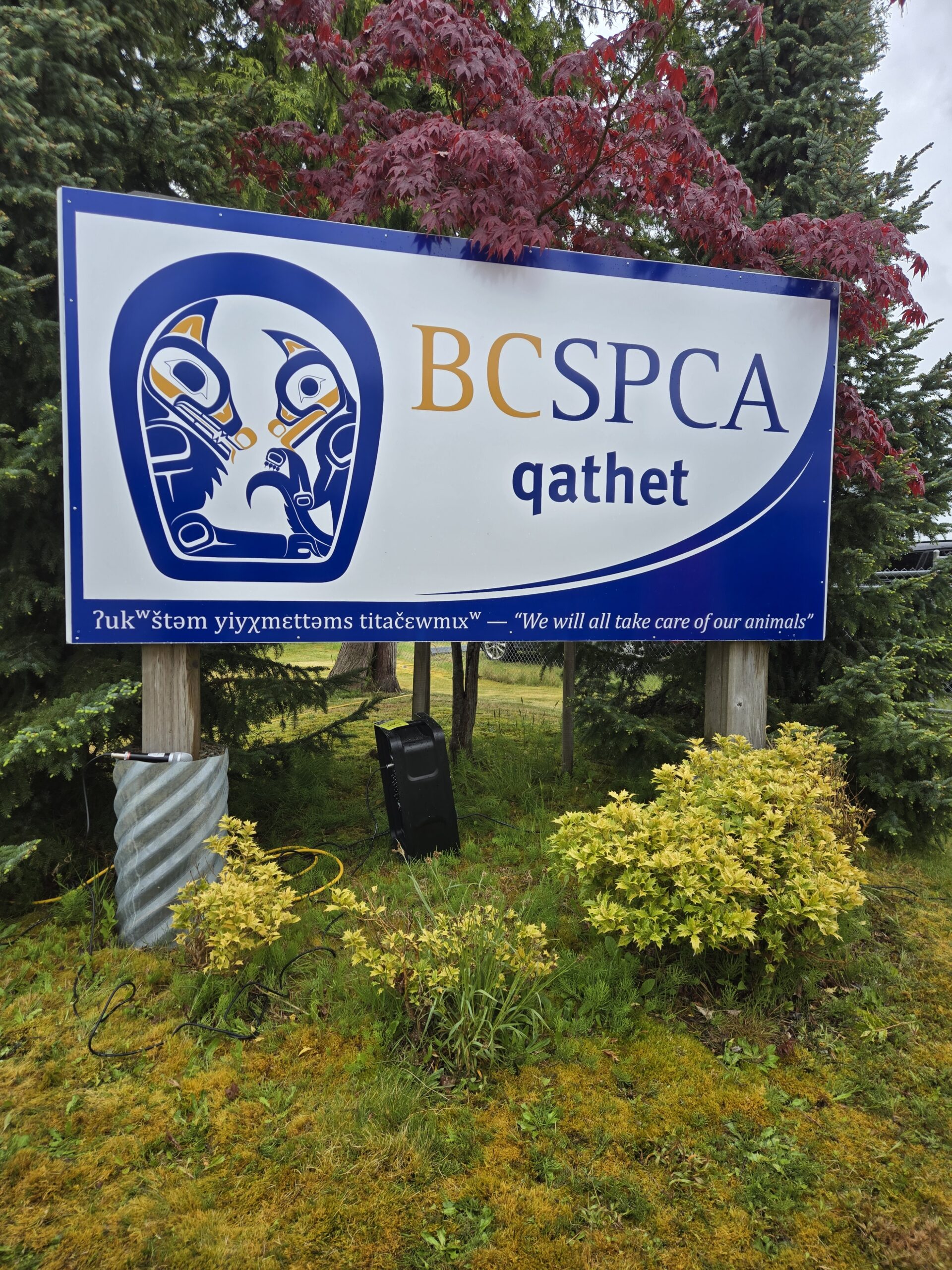 BC SPCA Community Animal Centre renamed qathet - BC SPCA