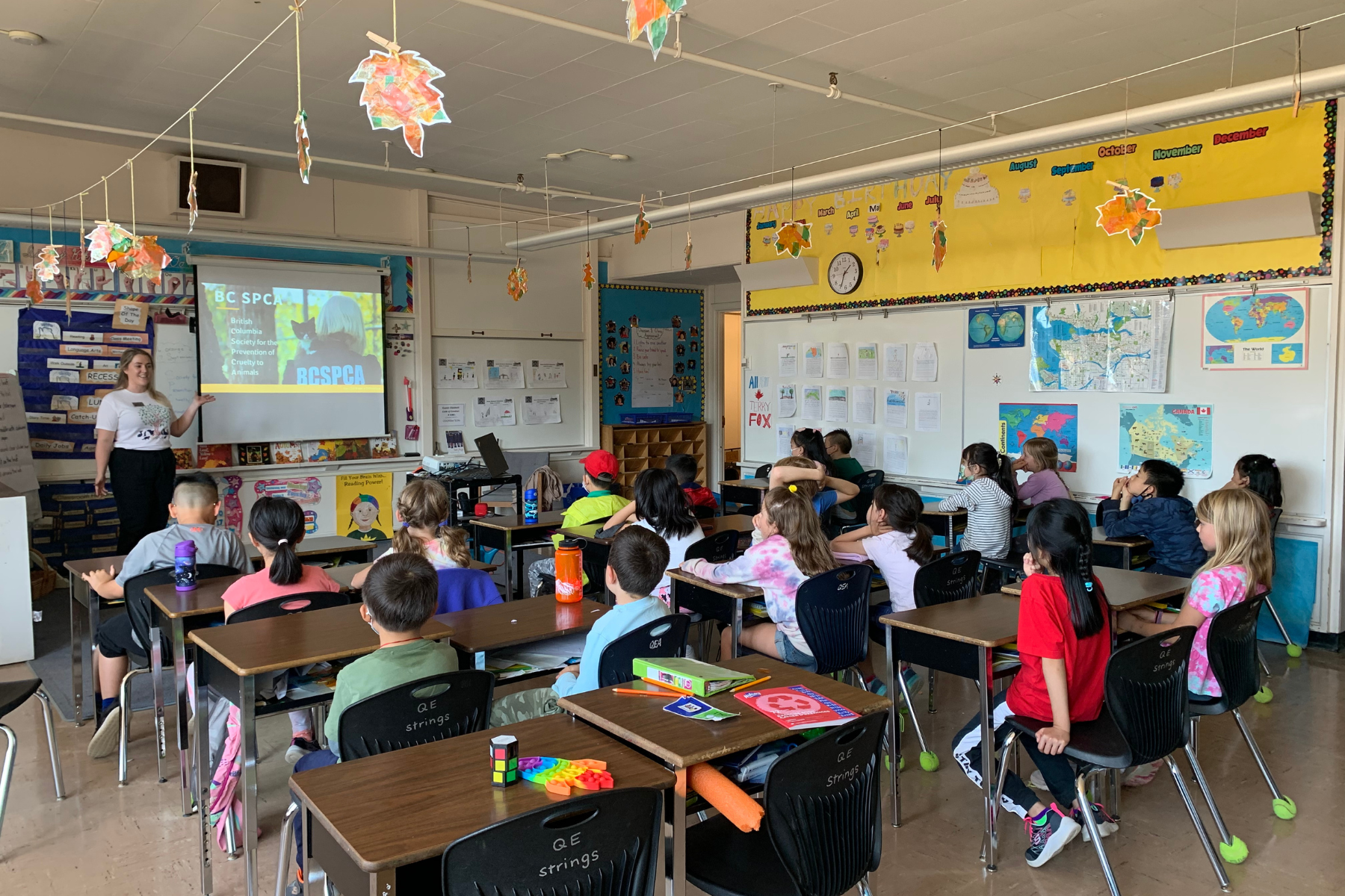 Humane Education Class Presentations - BC SPCA