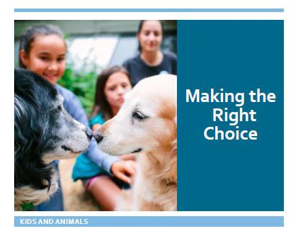 Animal lessons for intermediate students - BC SPCA