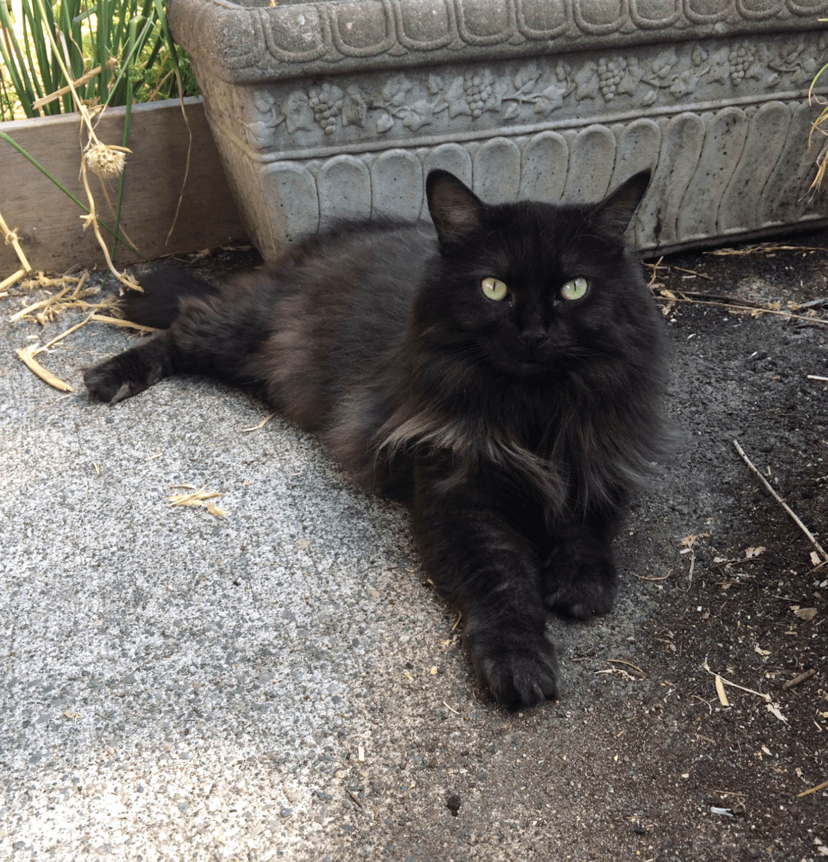 BC SPCA Surrey Education & Adoption Centre