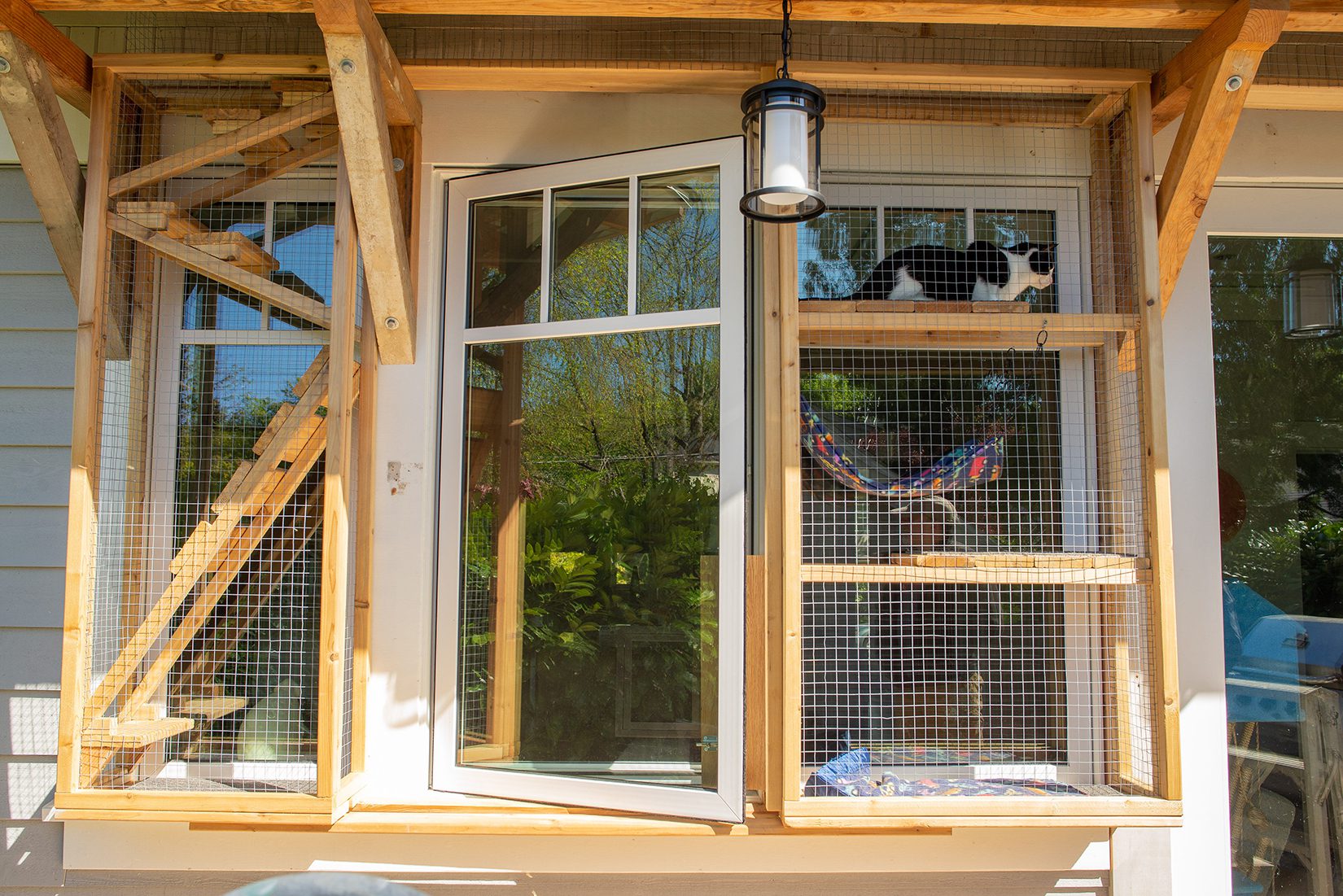 How to build a catio for your cat - BC SPCA