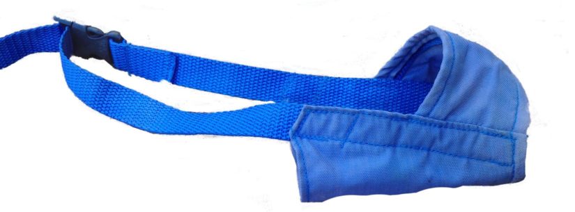 Muzzles: a modern perspective - BC SPCA