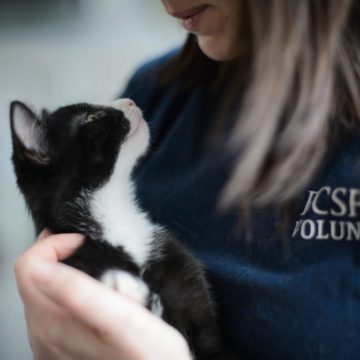 BC SPCA | The B.C. Society for the Prevention of Cruelty to Animals
