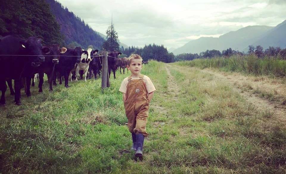 Is visiting the farm really the answer to learning more about food ...