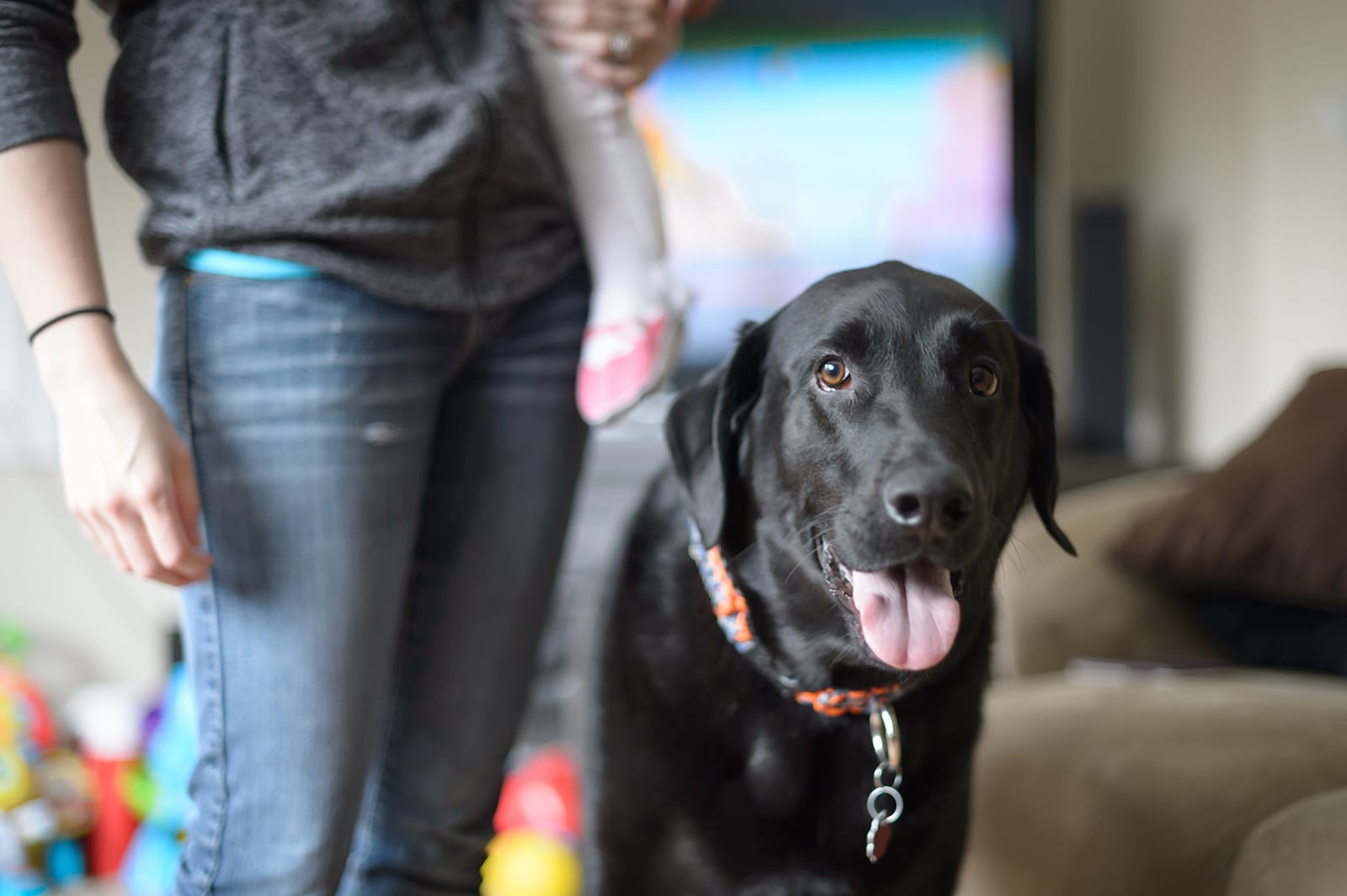 Safekeepers Program - BC SPCA