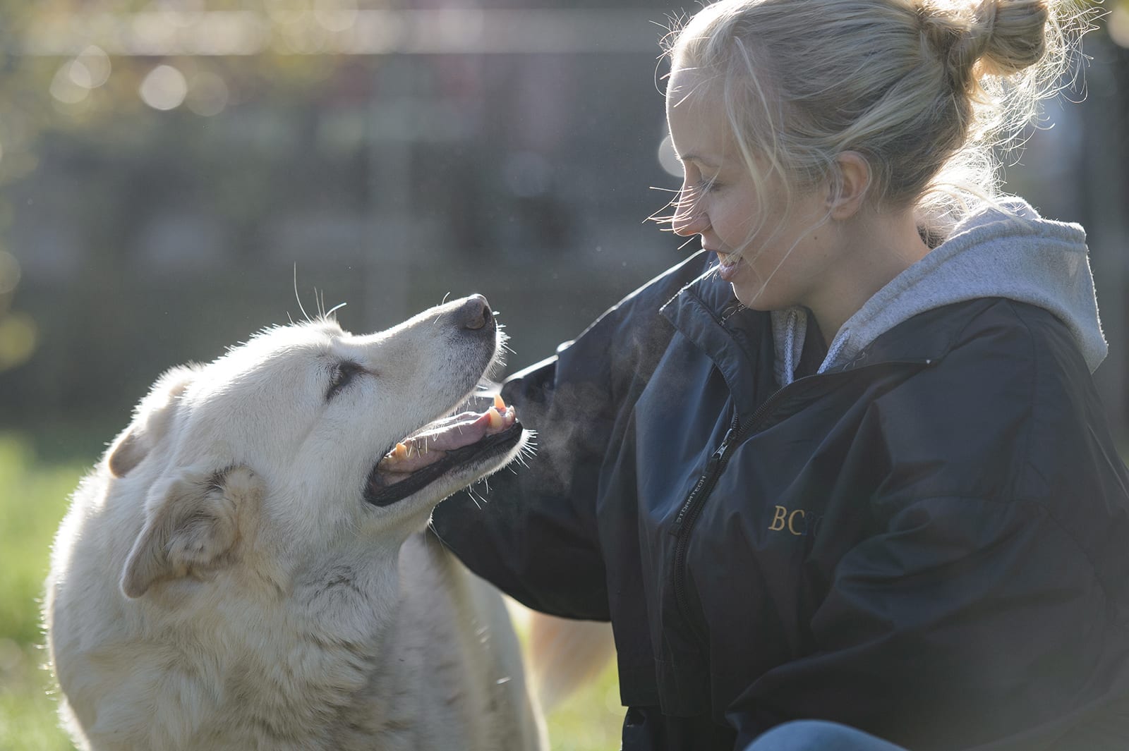 Position Statement on Companion Animal Welfare - BC SPCA