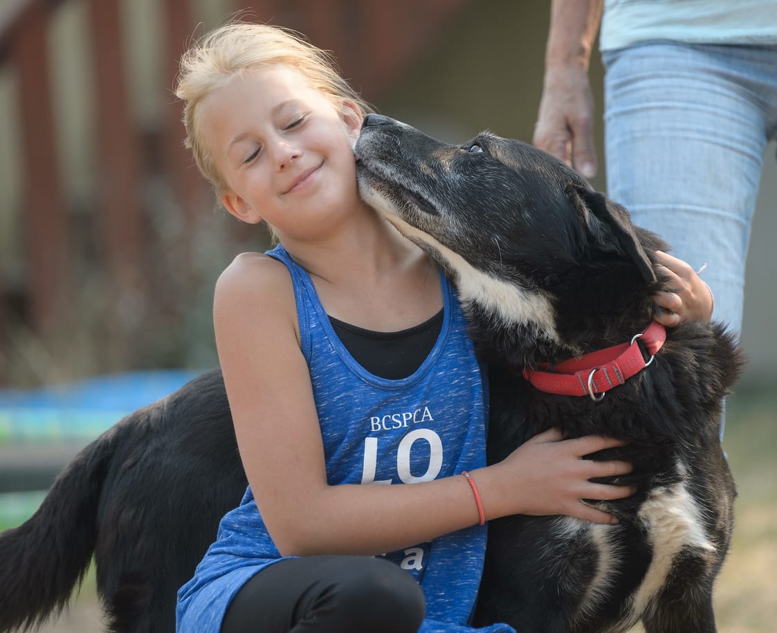 High Paws! Inspirational stories of kids helping animals - BC SPCA