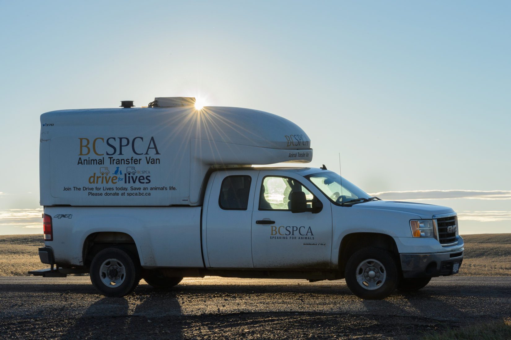 Adoption help topics - BC SPCA