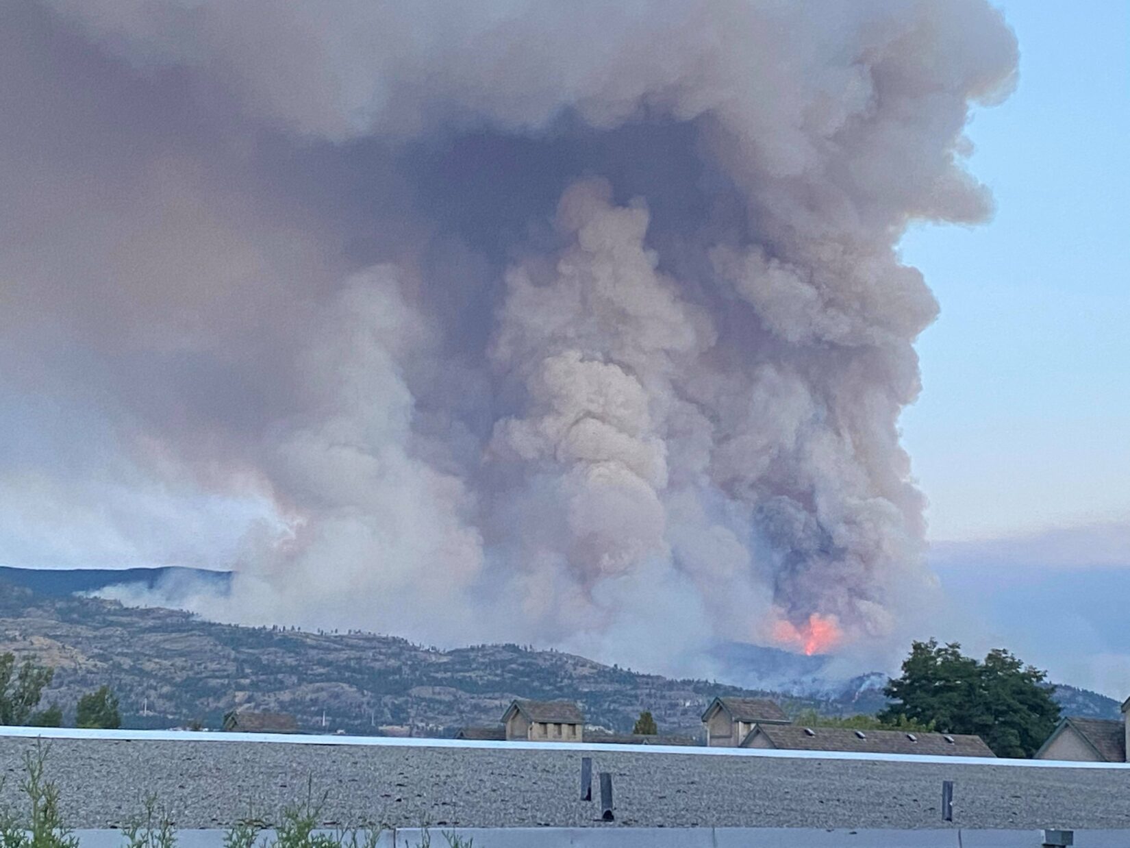 Helping your pets in an air quality advisory - BC SPCA