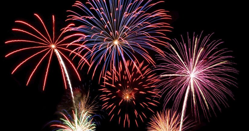 Fireworks frighten farm animals too - BC SPCA