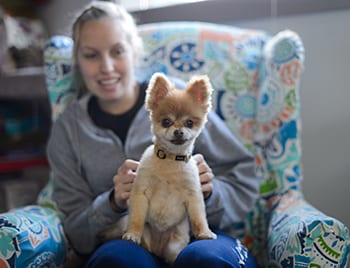 How to recognize a reputable breeder: Choosing a pet wisely - BC SPCA