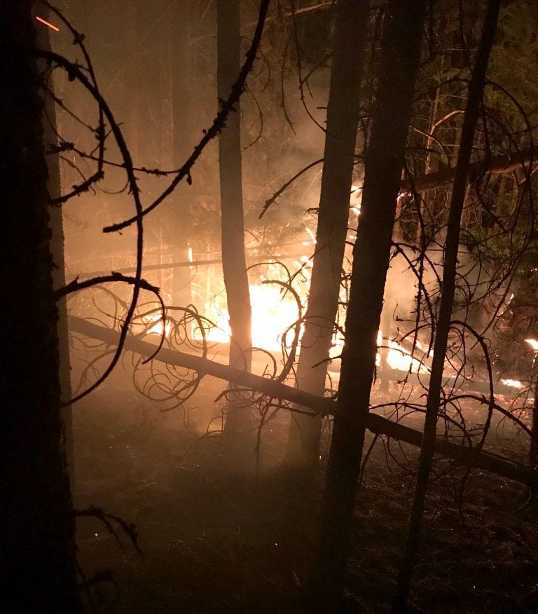 Wildfire community support for BC SPCA ‘truly inspiring’