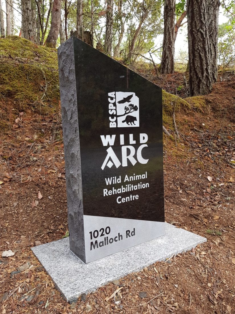 Wild ARC 20th anniversary celebration