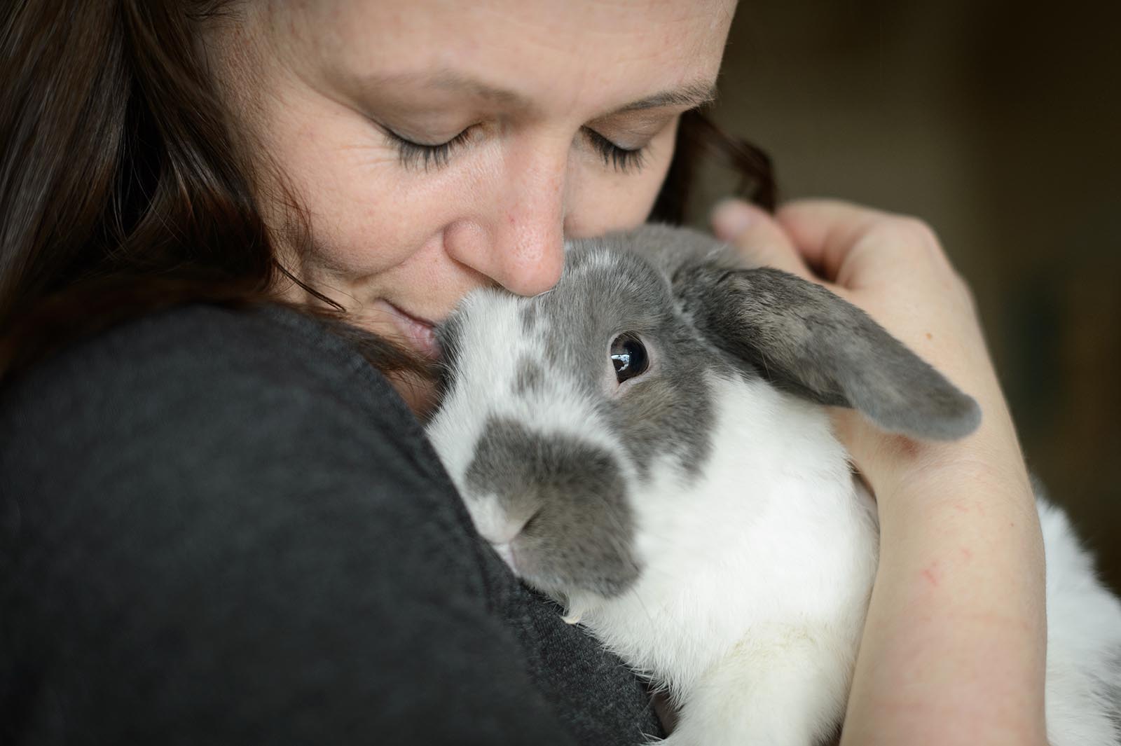 Pre-adoption tips - BC SPCA