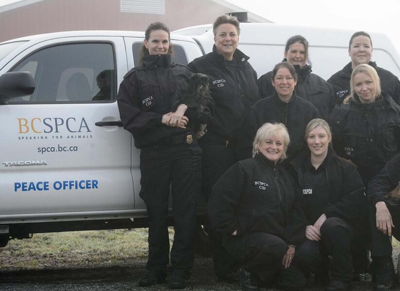Animal Protection - BC SPCA