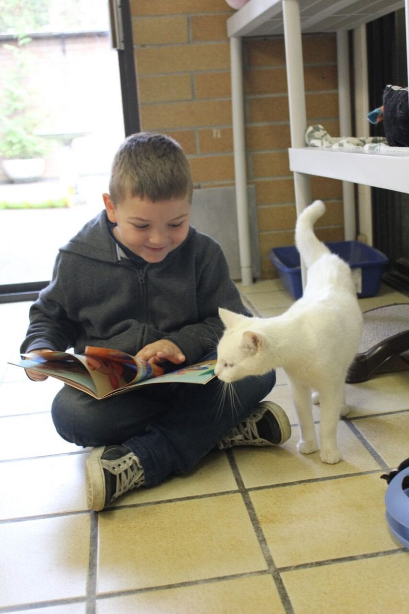 Animals as teachers: How BC SPCA school programs create kind classrooms ...